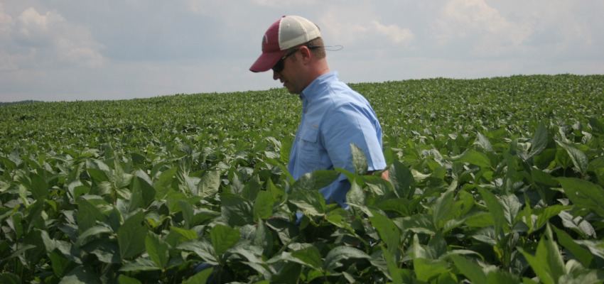 Crop & Soil Sciences